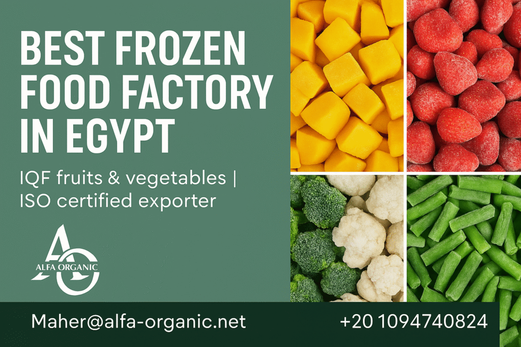 Best Frozen Food Factory in Egypt | ISO Certified Exporter 👍